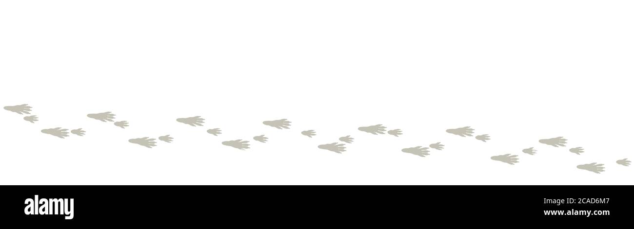 Rat tracks. Typical footprints of a house rat - illustration on white ...