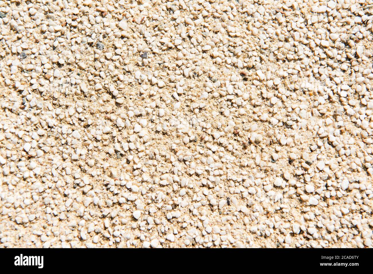 Grainy texture of decorative plaster. Tiny grains little stones in ...