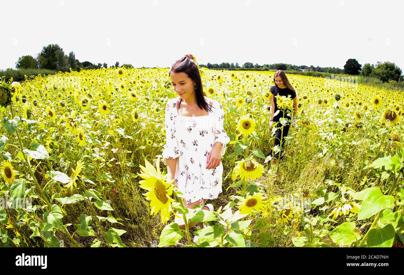 Lucy Bishop (left) and Lauren Barclay walk through a field of ...