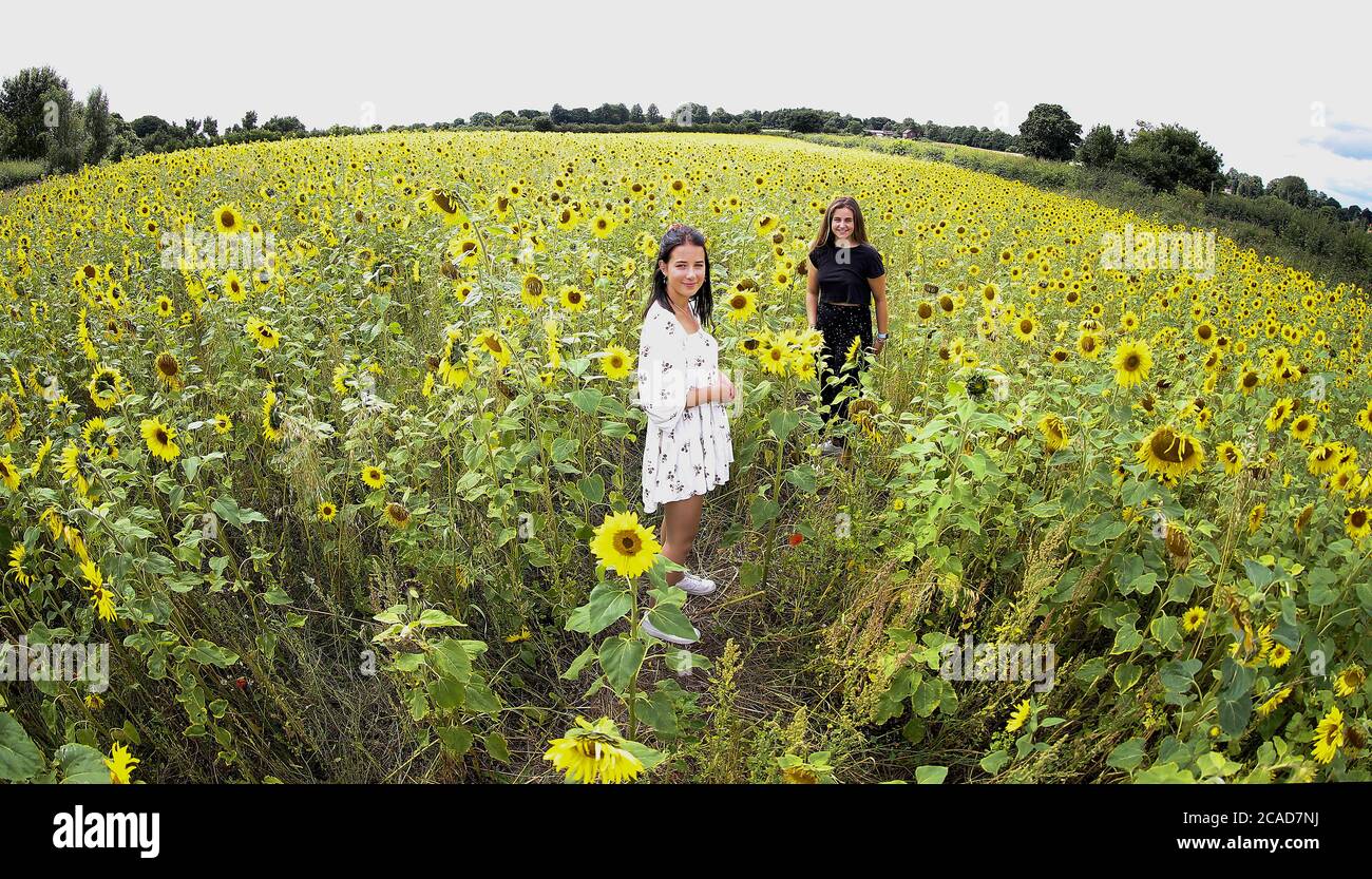 Lucy Bishop (left) and Lauren Barclay walk through a field of ...