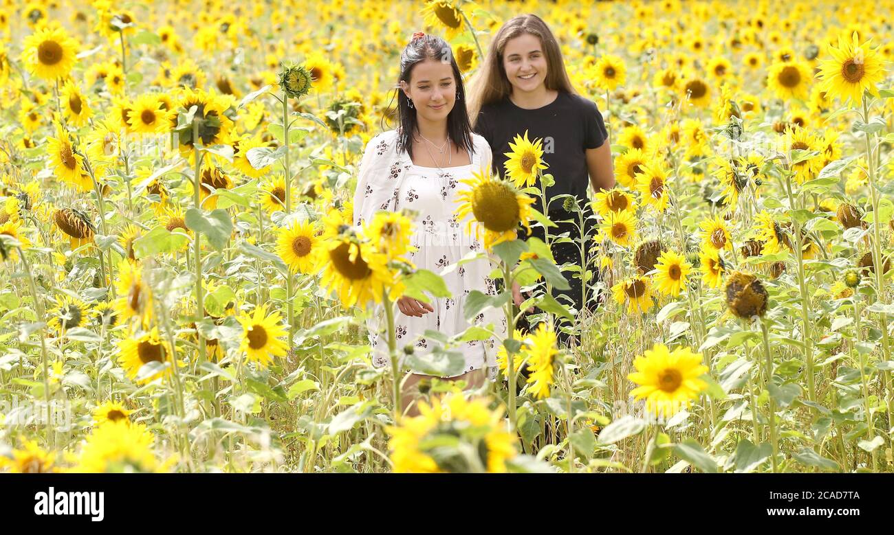 Lucy Bishop (left) and Lauren Barclay walk through a field of ...