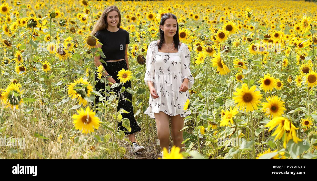 Lucy Bishop (right) and Lauren Barclay walk through a field of ...