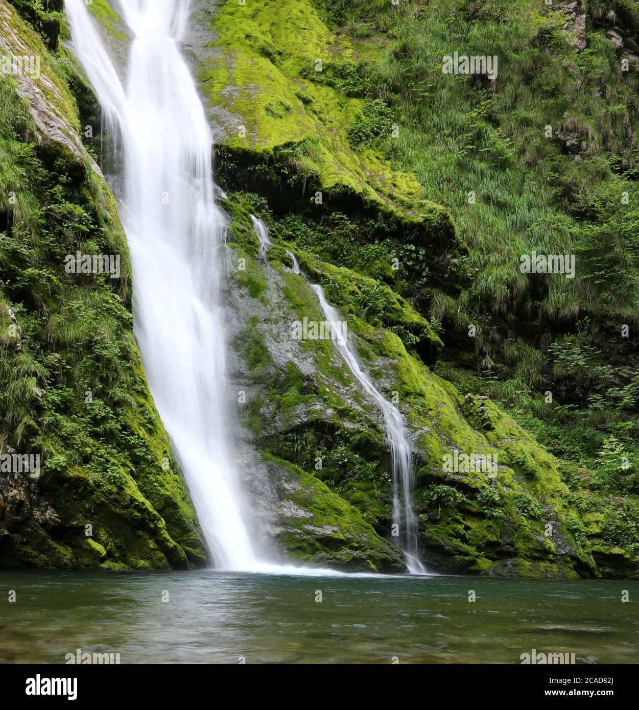 waterfall of pure fresh water in the middle of the forest without ...