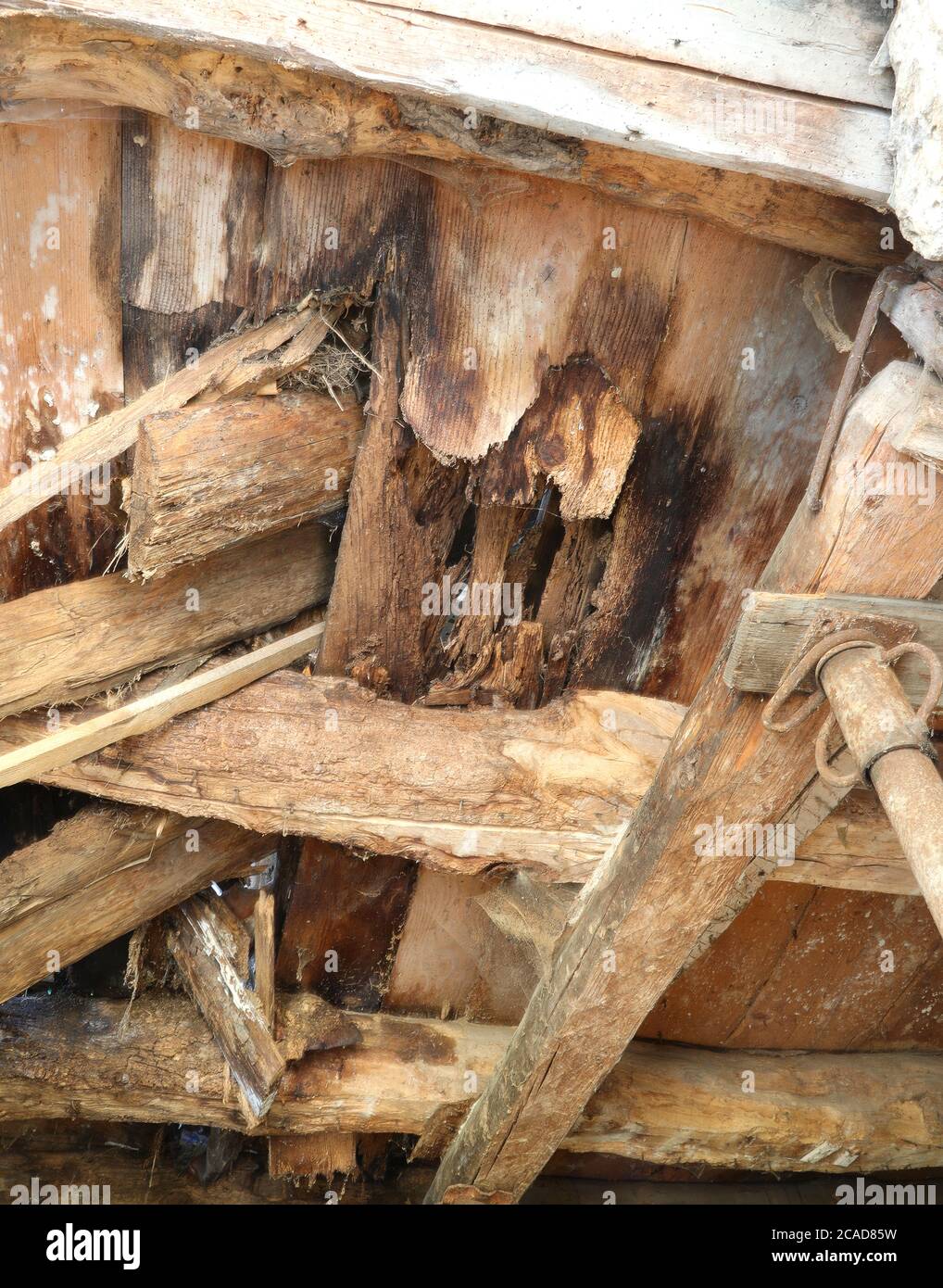 rotten ceiling with the wooden beams of an ancient mine for the ...