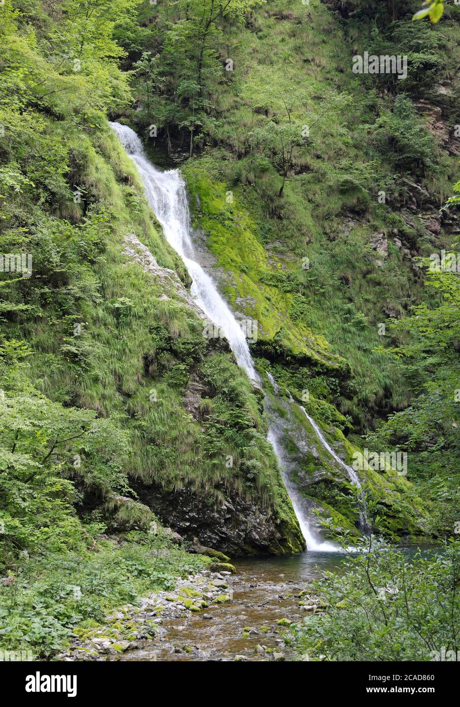cascade of pure fresh water in the middle of the forest in an ...
