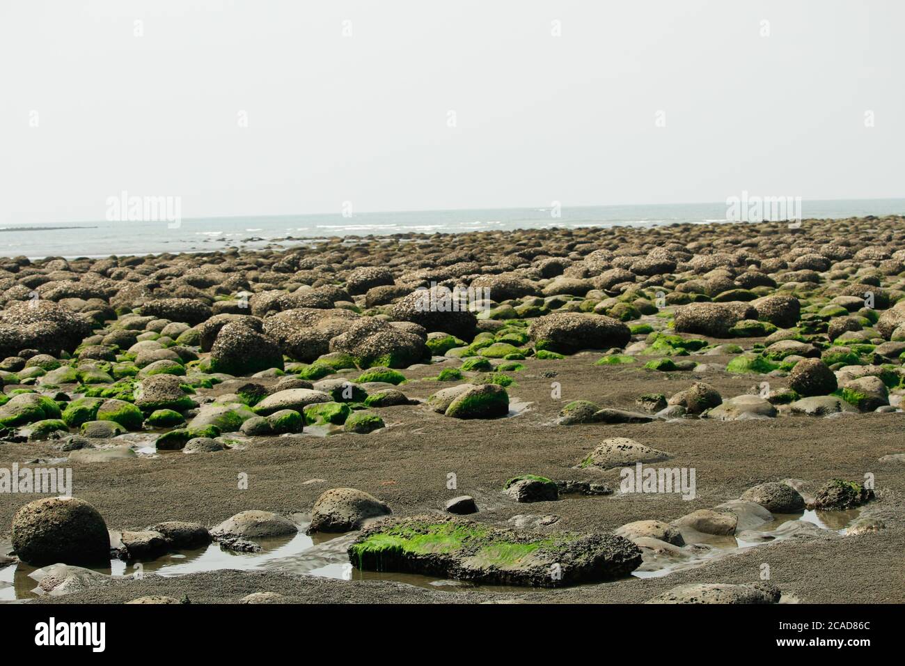 Summer sand beach with stone and sea background Stock Photo - Alamy