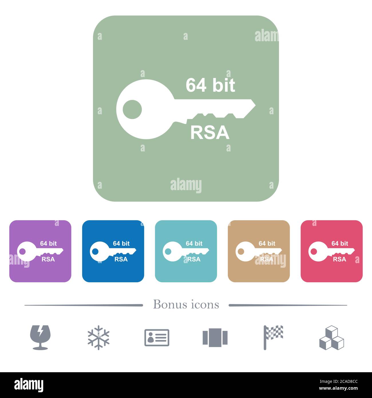 64 bit rsa encryption white flat icons on color rounded square backgrounds. 6 bonus icons ...
