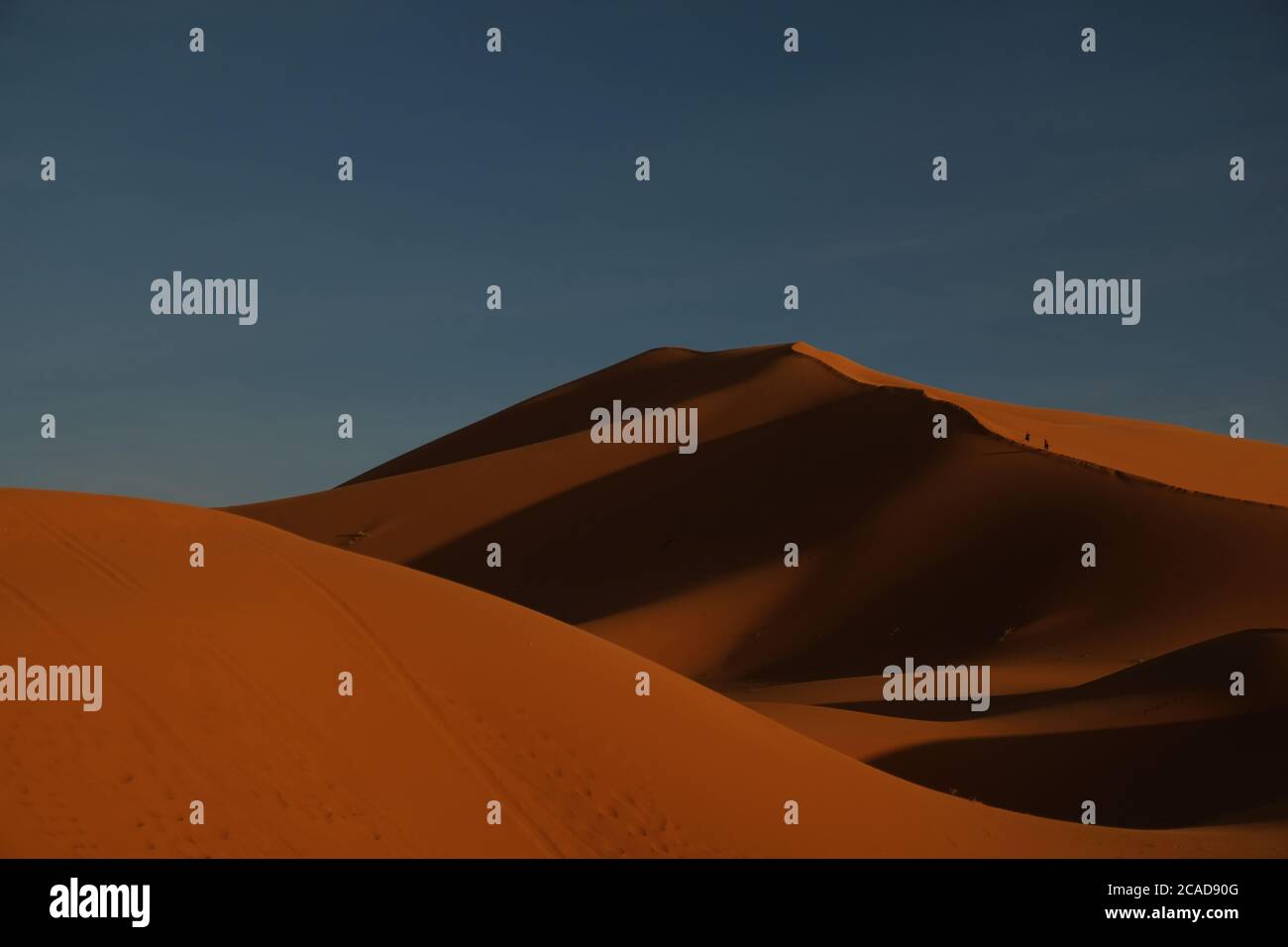 brown Sahara desert slope at sunset. deep blue sky. Near Merzouga ...