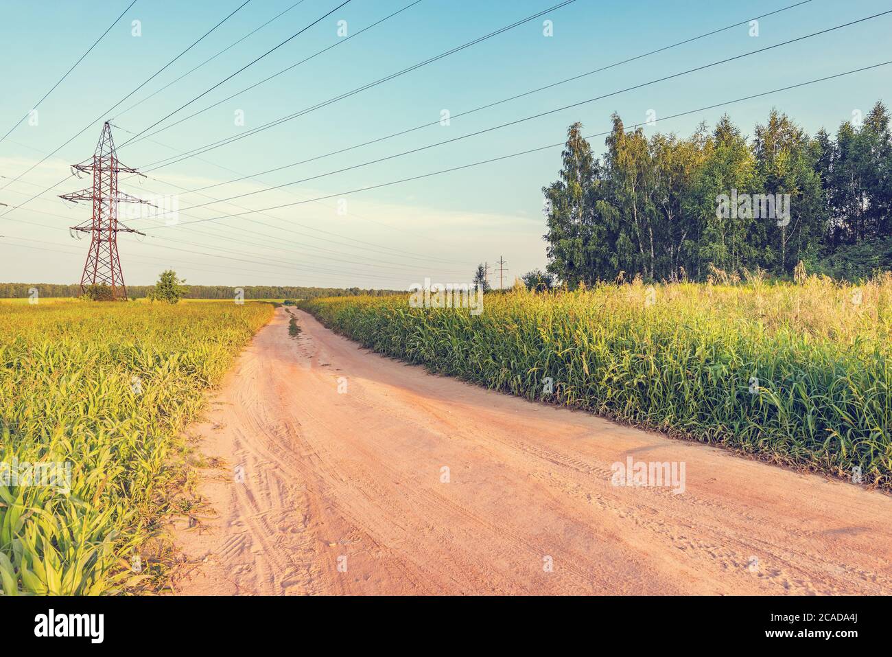 Road by the field at summer sunset time Stock Photo - Alamy