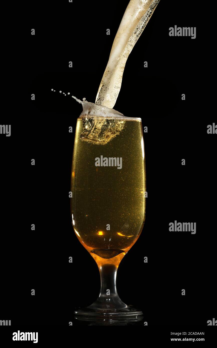 Beer falling into a glass and forming a splash on a black background ...