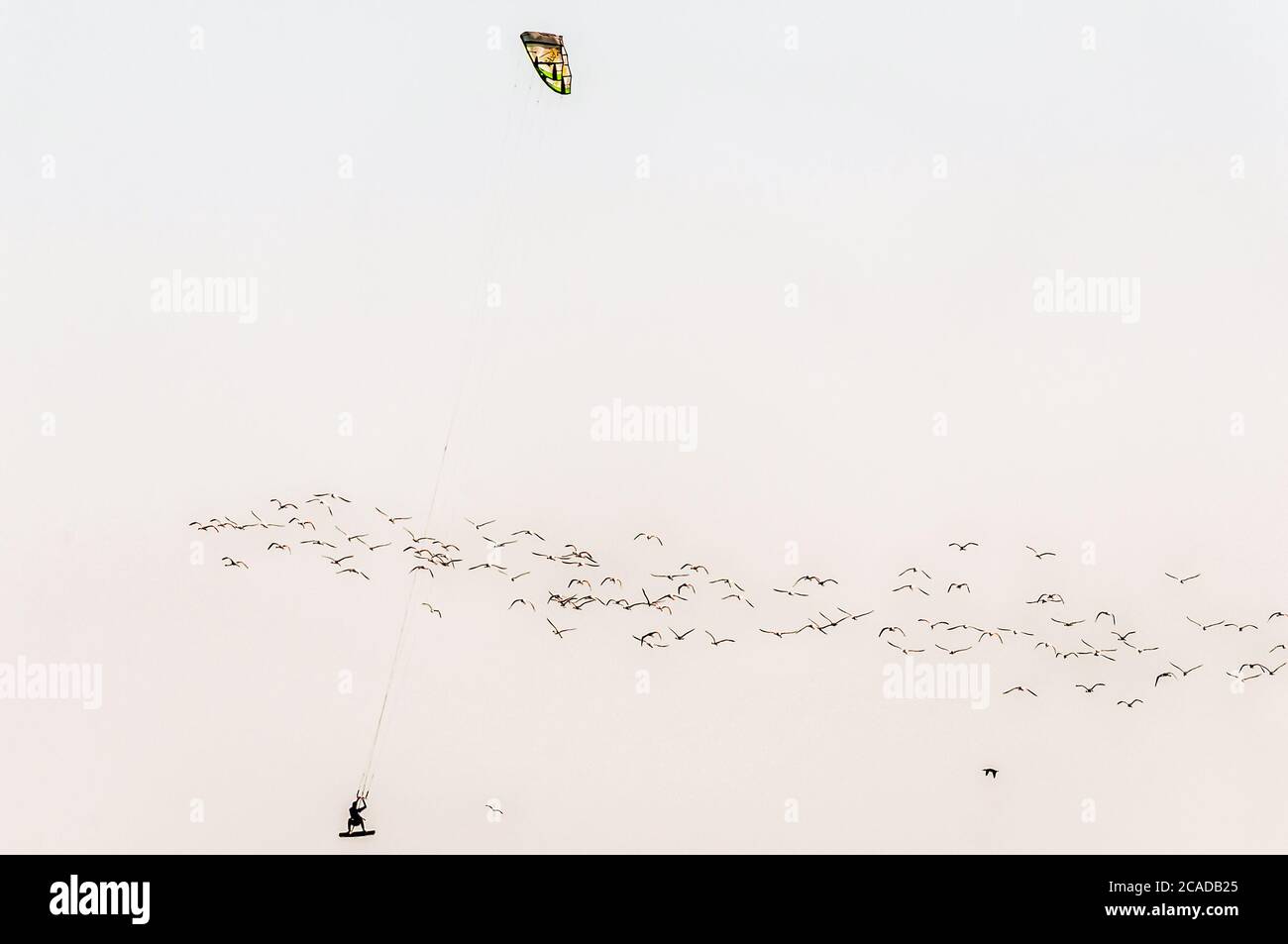 An airborne windsurfer in the lagoon in Walvis Bay on the Atlantic ...