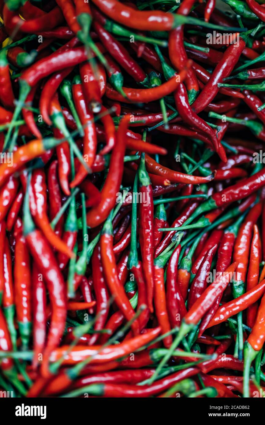 Red Hot Chilli Stock Photo - Alamy
