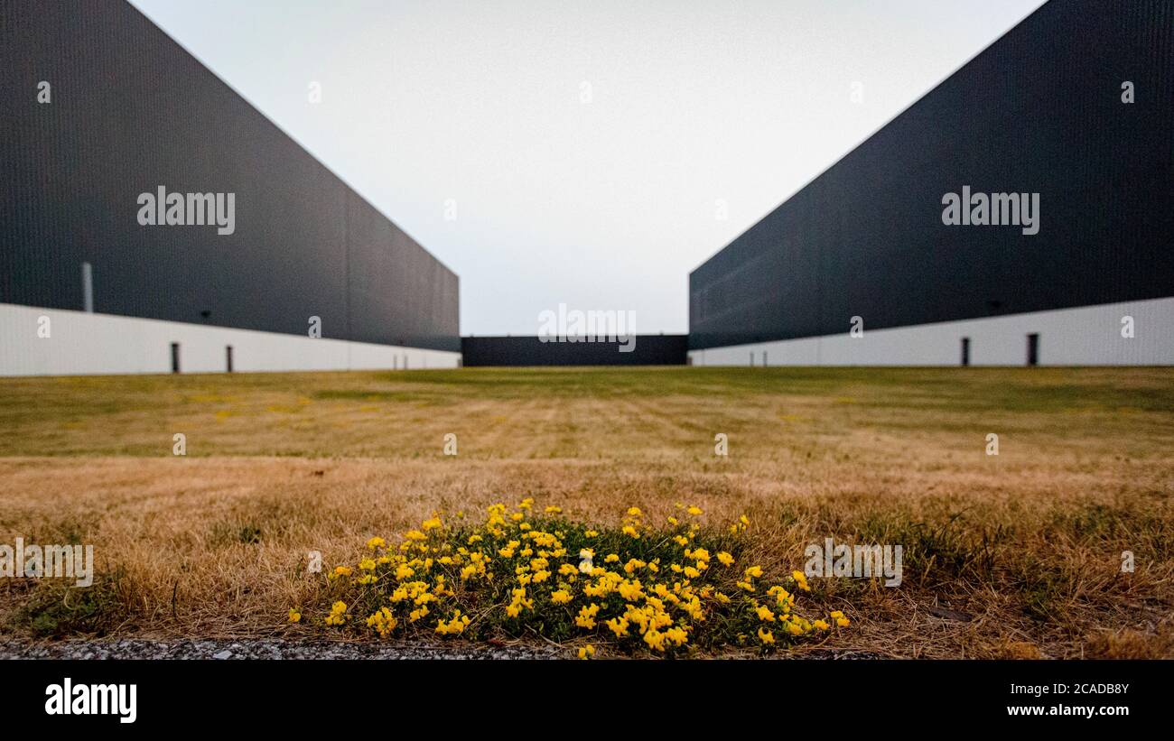 Huge warehouses owned by the Eastman Kodak in Rochester, New York. Once ...