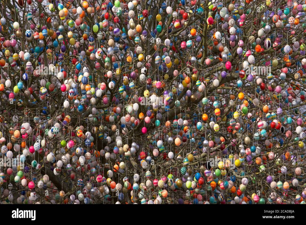 Tree covered with countless individually decorated Easter eggs Stock ...
