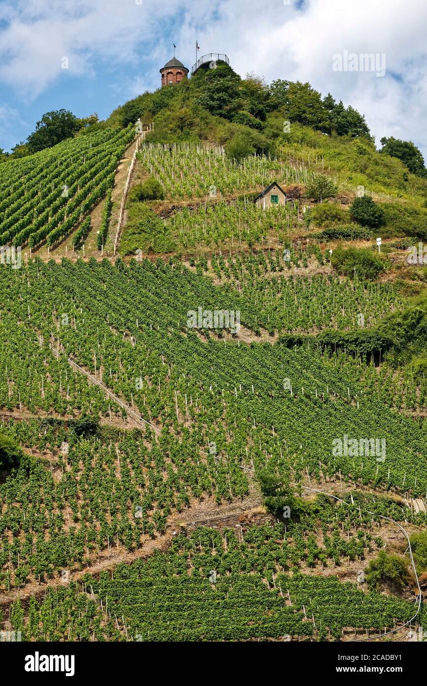 The horizontal viewing hi-res stock photography and images - Alamy
