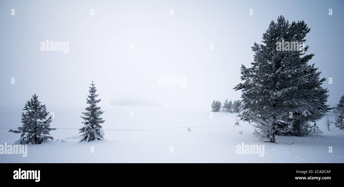 wintry landscapes in sweden. Very cold vacation with beautiful light ...