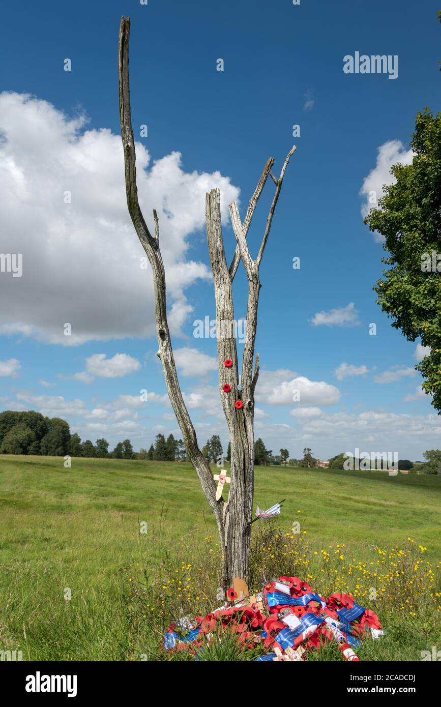 The Danger tree at Beaumont Hamel Newfoundland Memorial site Stock ...