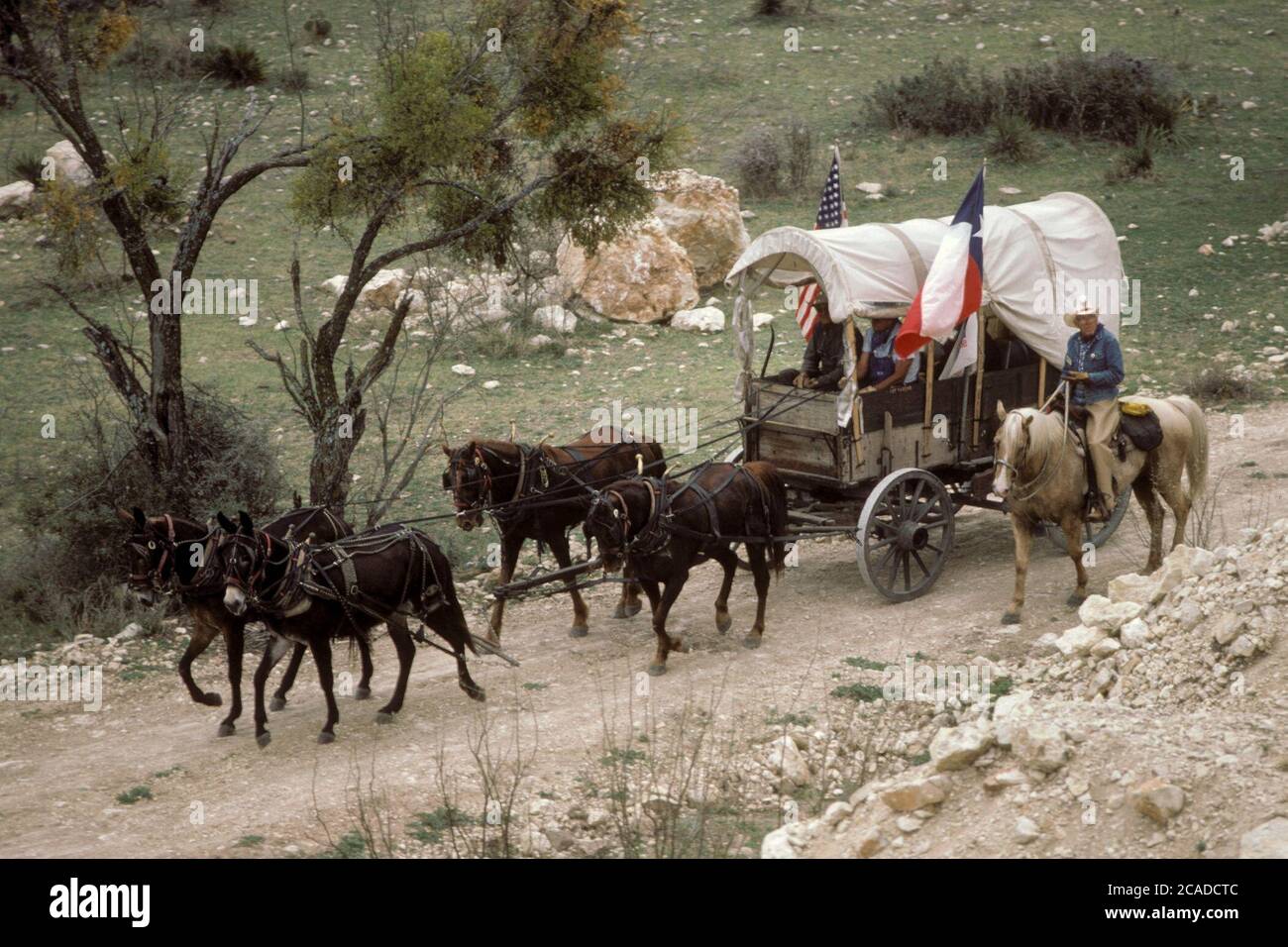 Conestoga wagon hi-res stock photography and images - Alamy