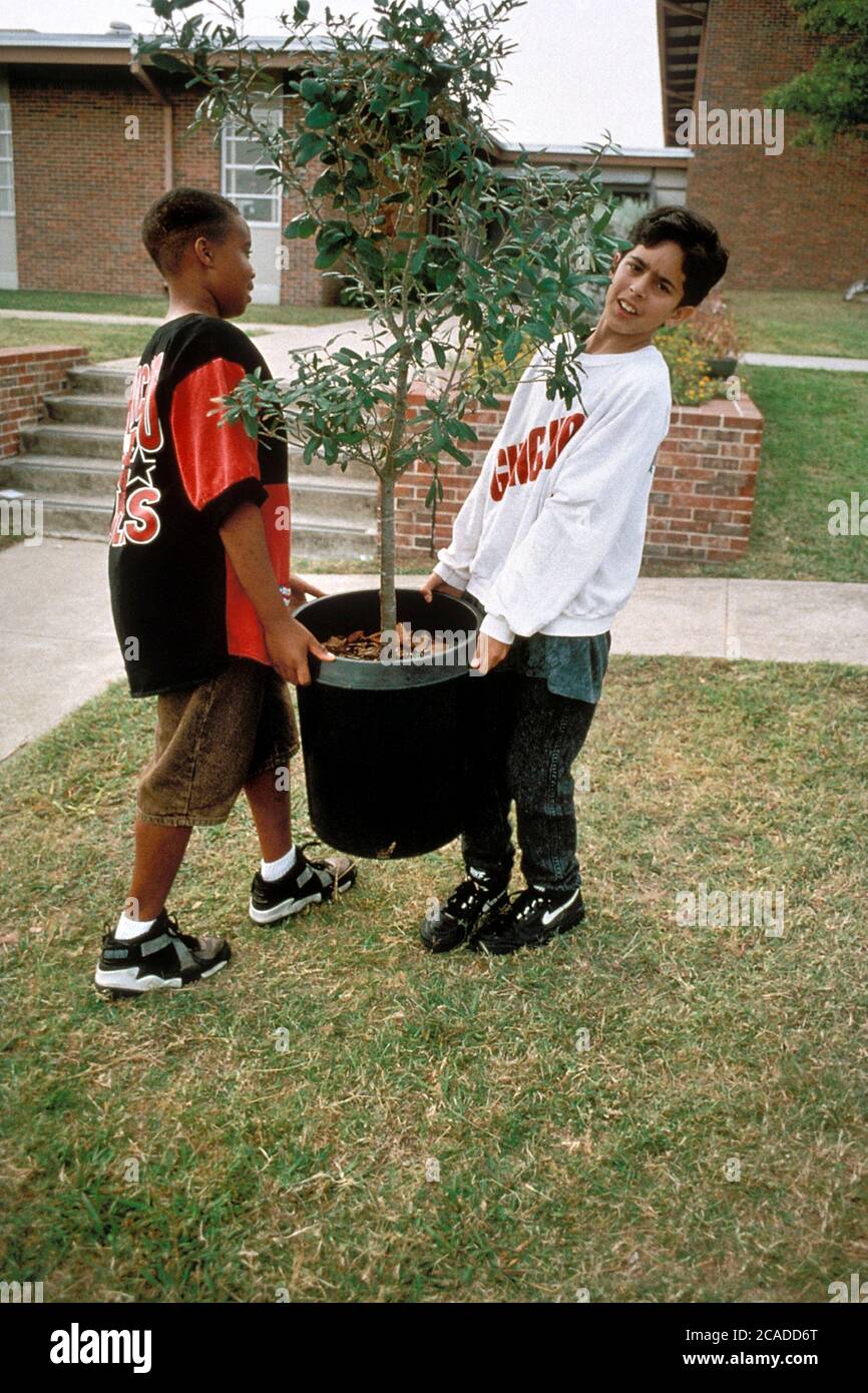School children planting a tree hi-res stock photography and images - Alamy