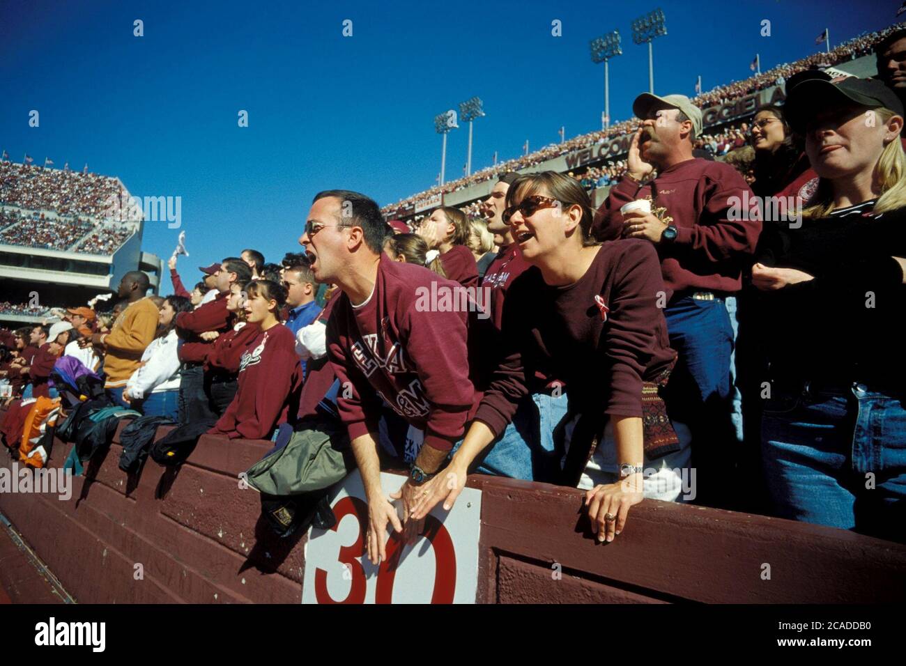 Sports crowd cheering hi-res stock photography and images - Alamy