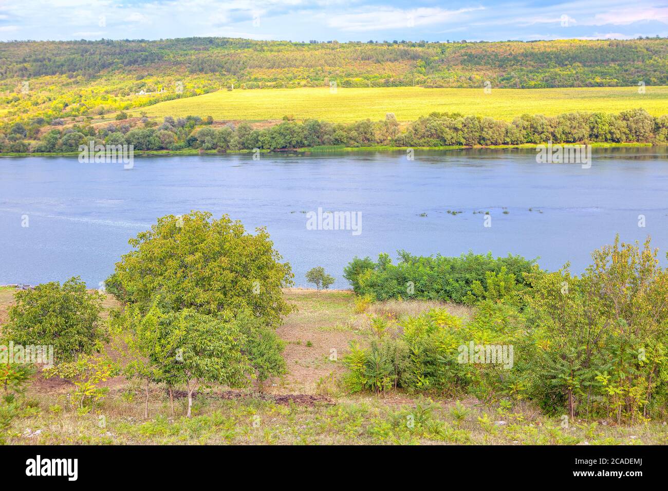 Green riverside scenery . Summer beautiful nature Stock Photo - Alamy