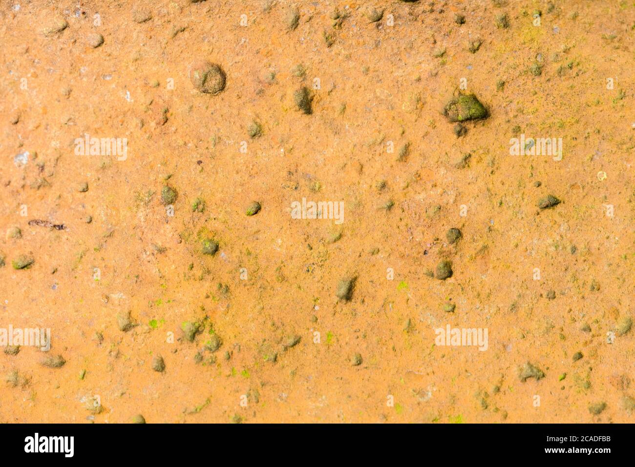 Ocher yellow rock surfaceTextures and backgrounds Stock Photo - Alamy