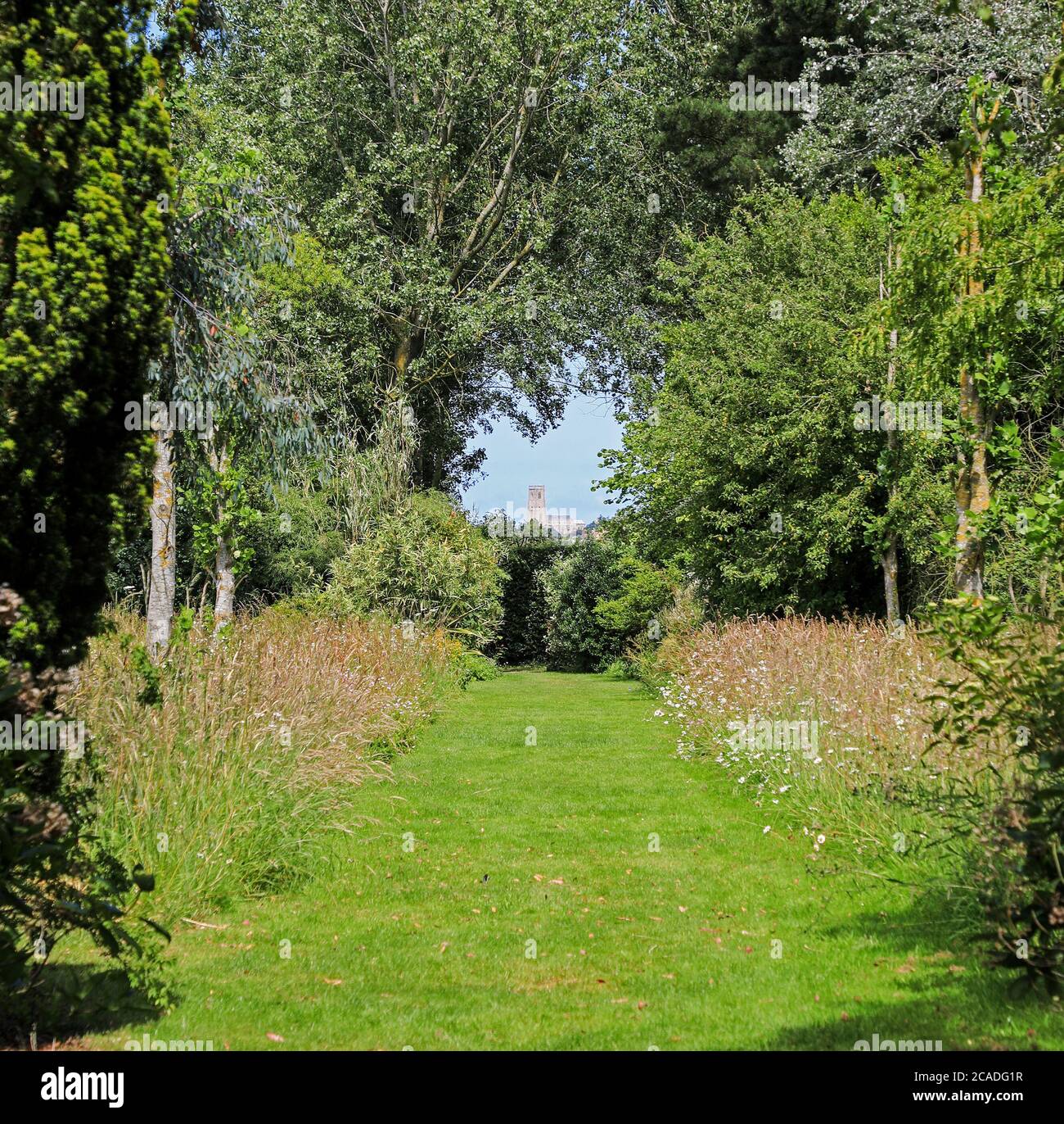 The Apple Walk bordered by Nepeta mussinii 'Six Hills Giant' at East Ruston Old Vicarage Garden ...