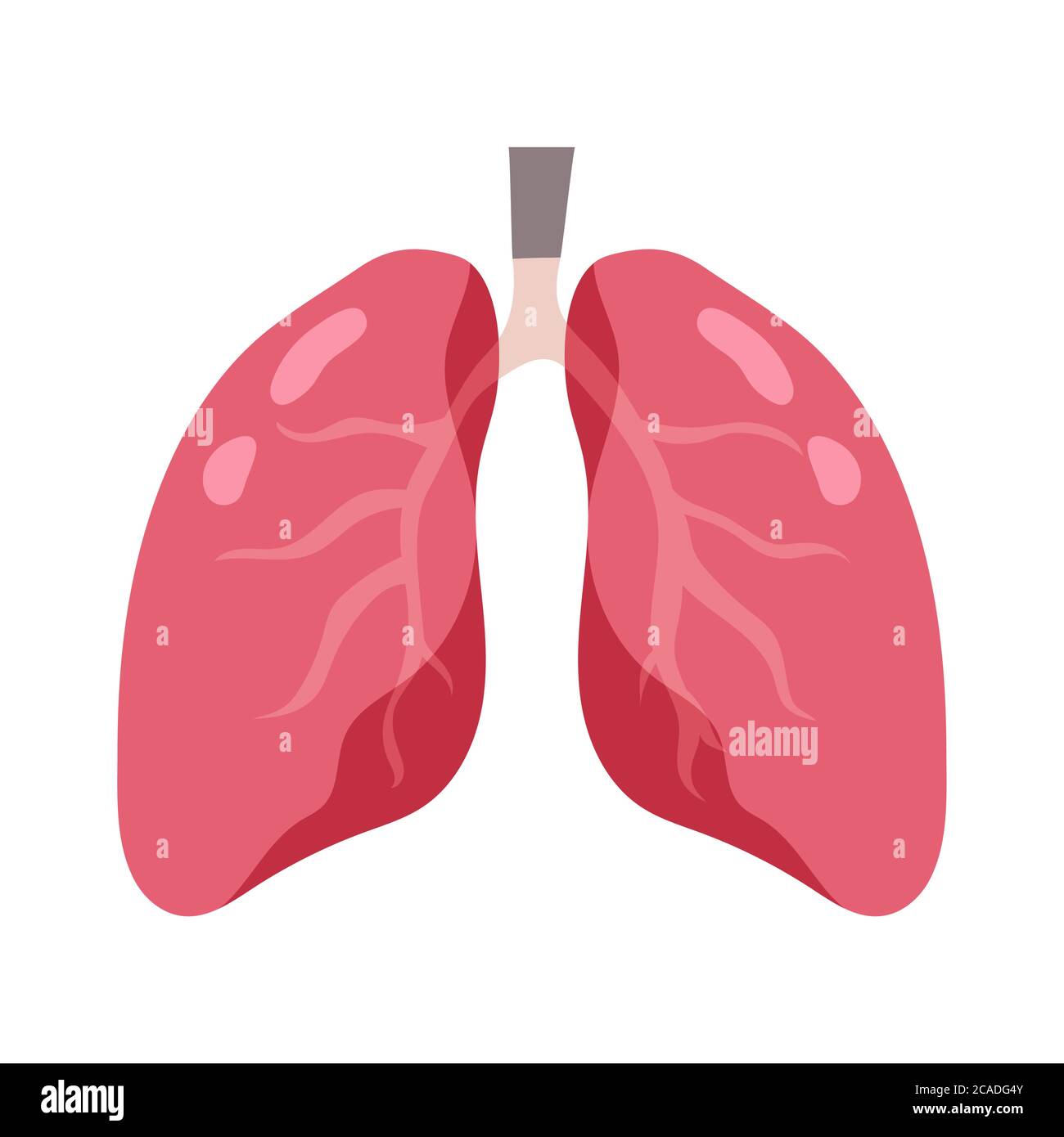 Healthy lungs and disease lungs vector Illustration Stock Vector Image ...