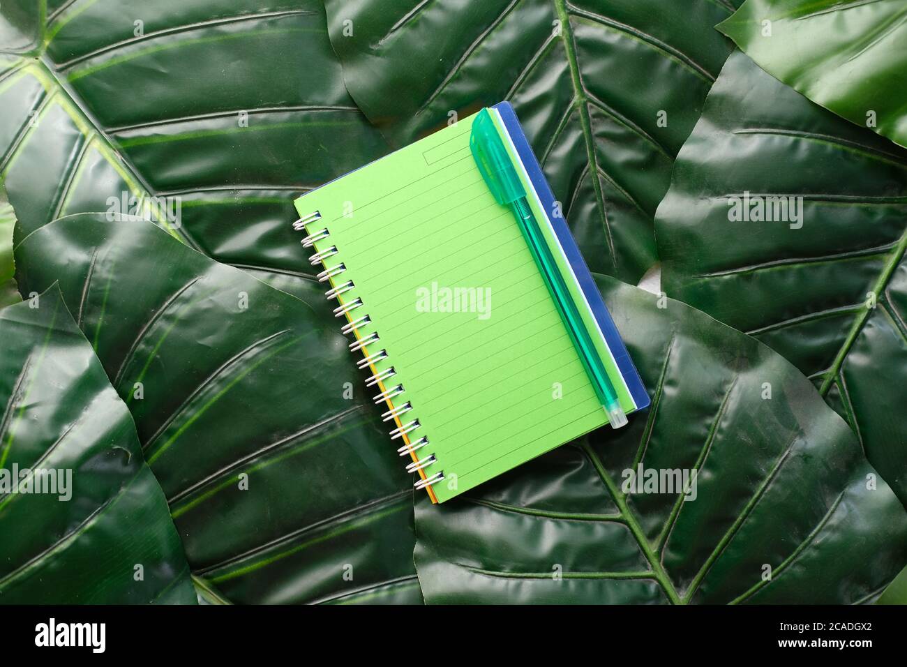 Diary leaf hi-res stock photography and images - Alamy