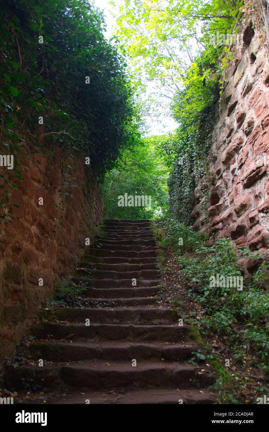 staircase to an old castle ruin Stock Photo - Alamy