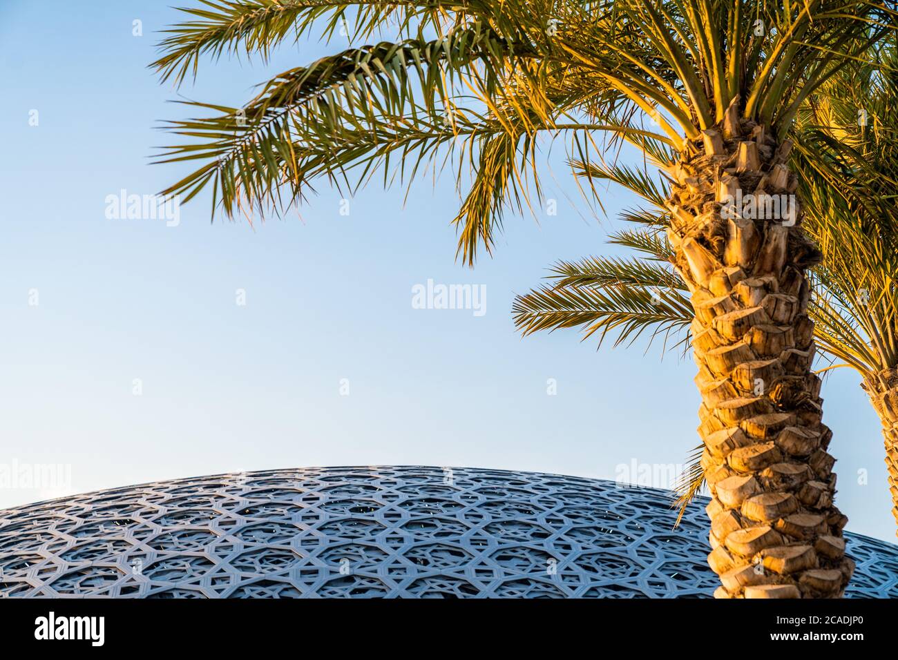 Closeup of a palm tree trunk with a partial view of a dome-shaped ...