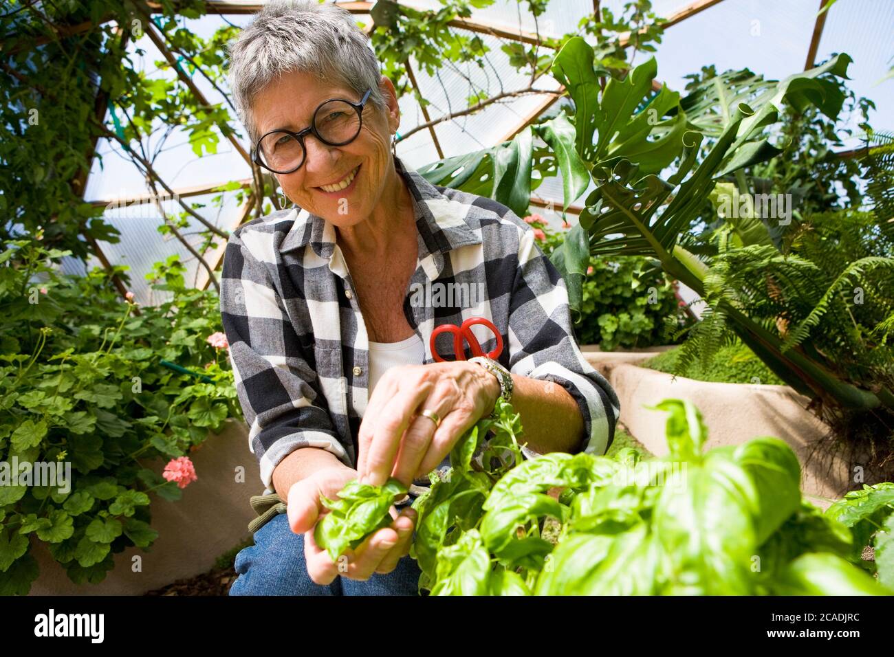 Geodesic pattern hi-res stock photography and images - Alamy