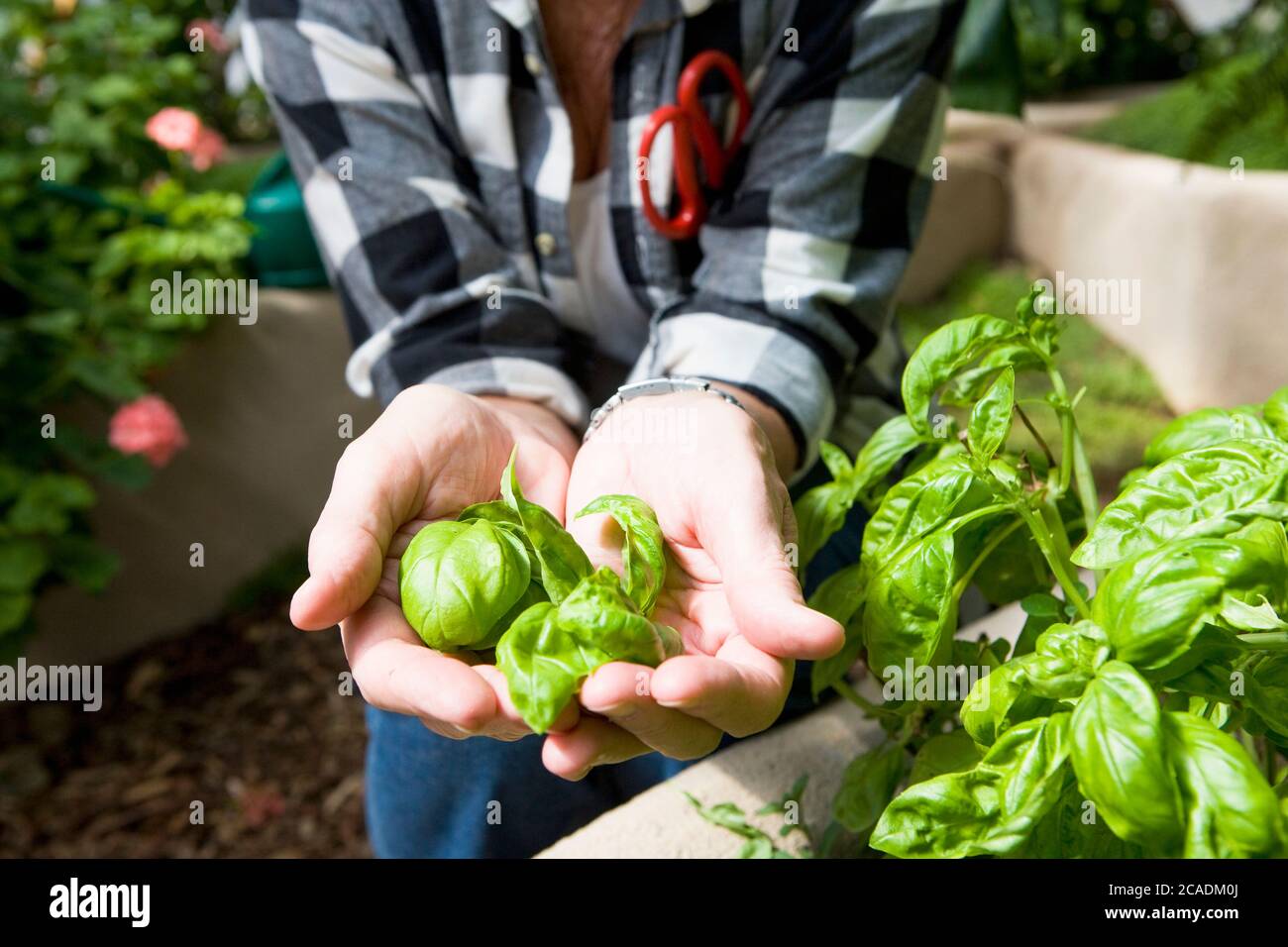 Geodesic pattern hi-res stock photography and images - Alamy