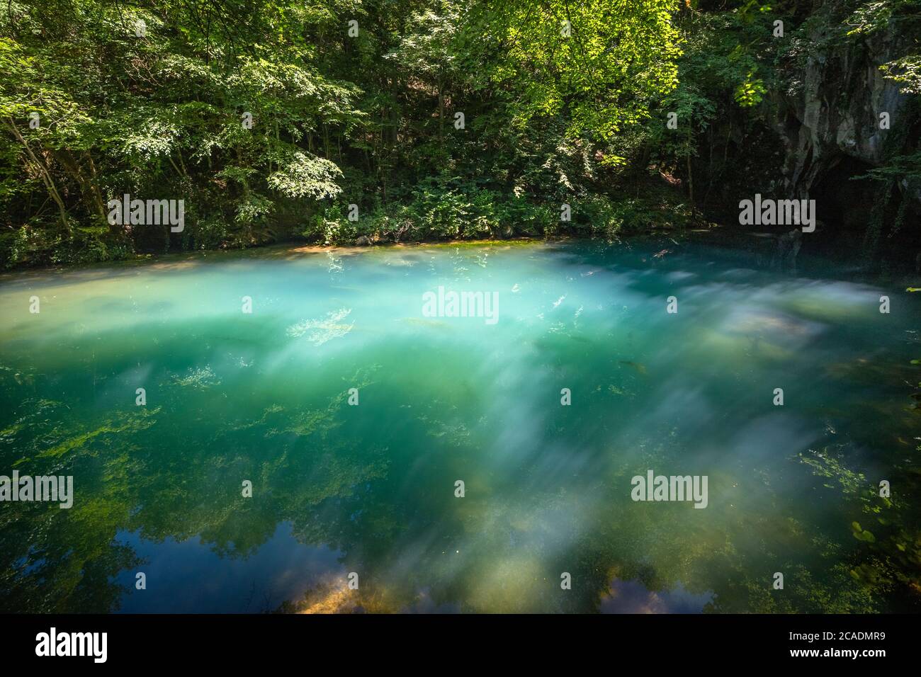 Krupajsko Vrelo (The Krupaj Springs) in Serbia, beautiful water spring ...