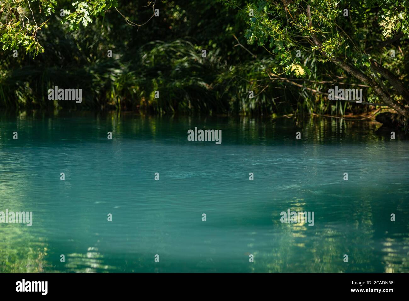 Krupajsko Vrelo (The Krupaj Springs) in Serbia, beautiful water spring ...