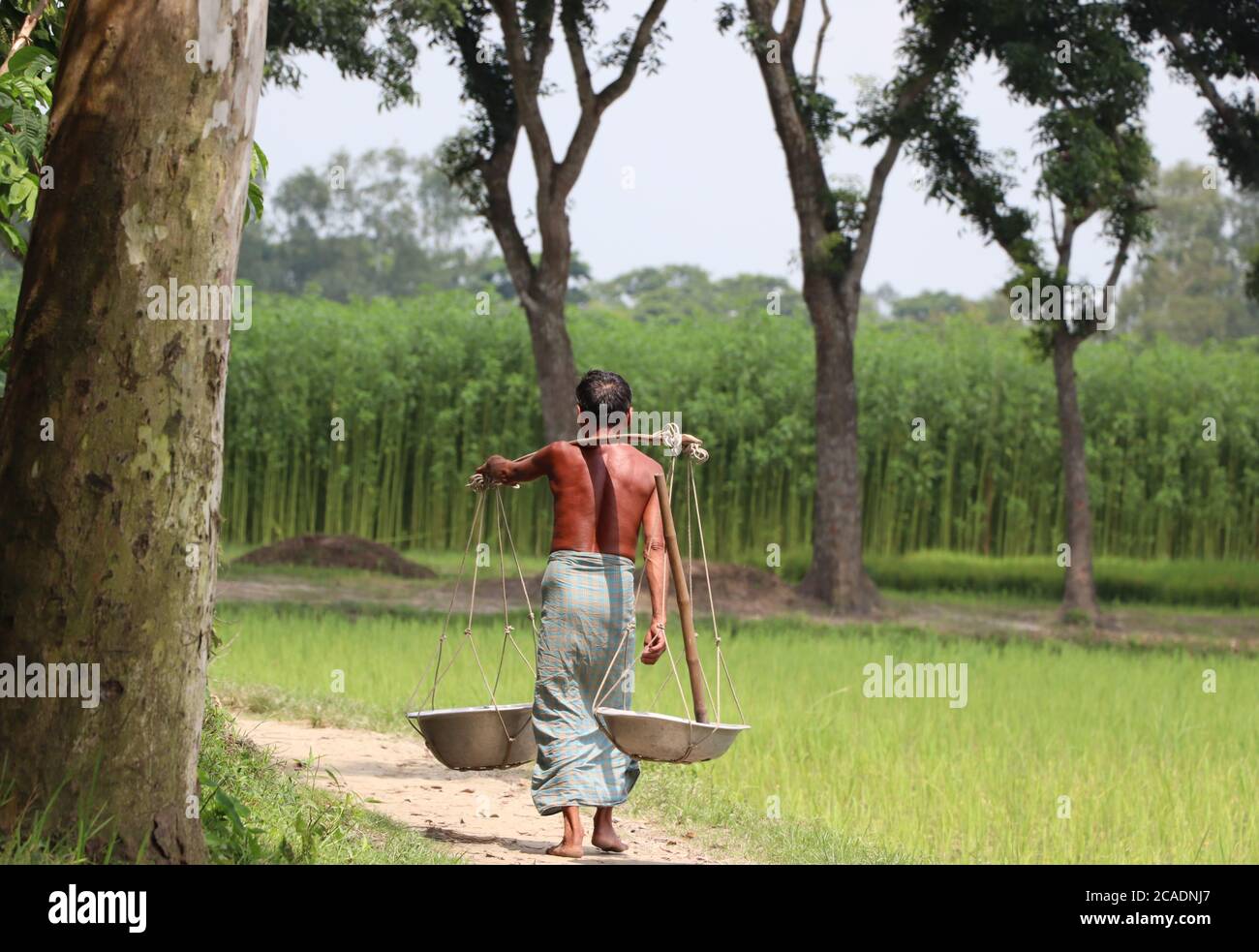 Asian farmer carrying agricultural tools (spade, bowls) for working in ...
