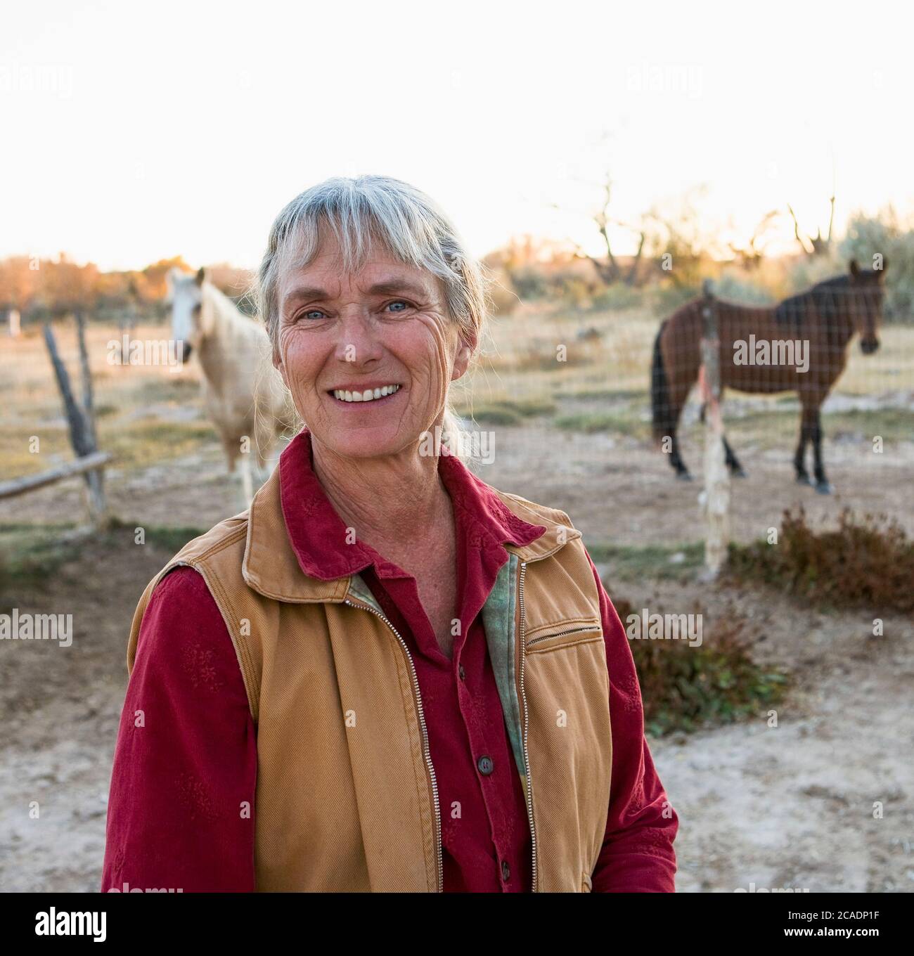Mature woman at home on her property in a rural setting, horses in a ...