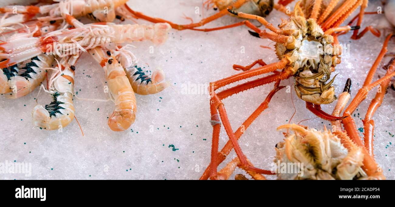 Ciutadella fish market menorca hi-res stock photography and images - Alamy