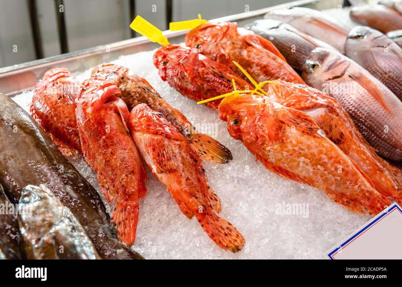 Ciutadella fish market menorca hi-res stock photography and images - Alamy
