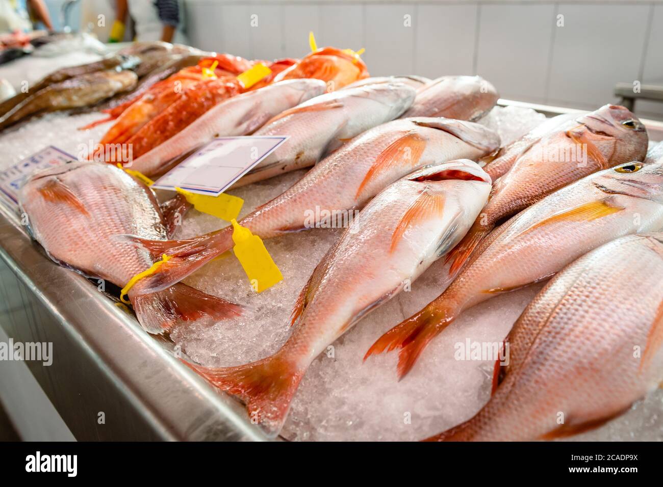Ciutadella fish market menorca hi-res stock photography and images - Alamy