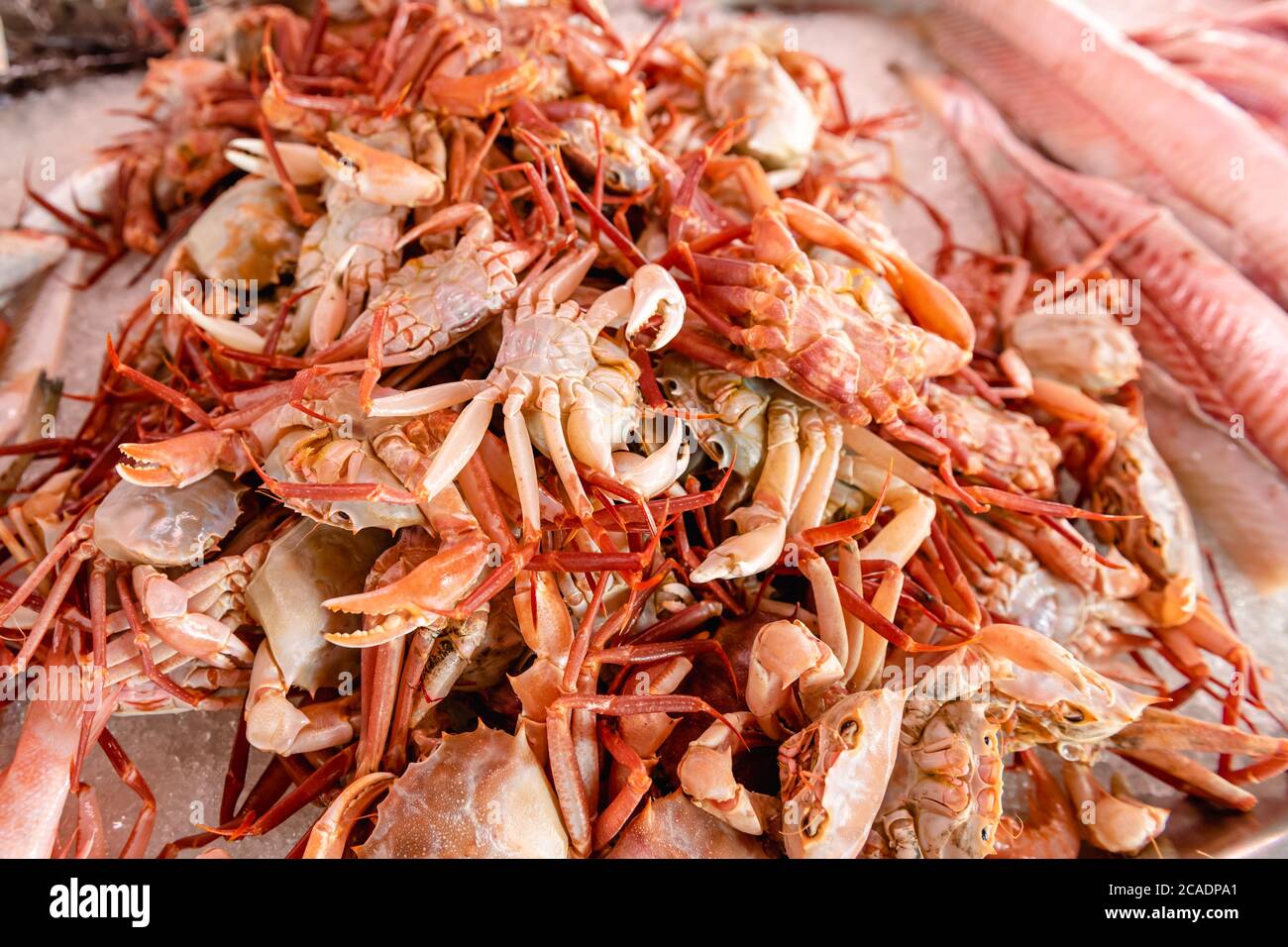Ciutadella fish market menorca hi-res stock photography and images - Alamy