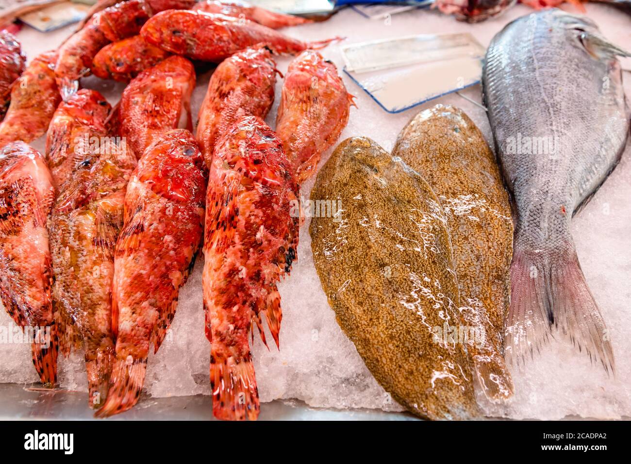 Ciutadella fish market menorca hi-res stock photography and images - Alamy