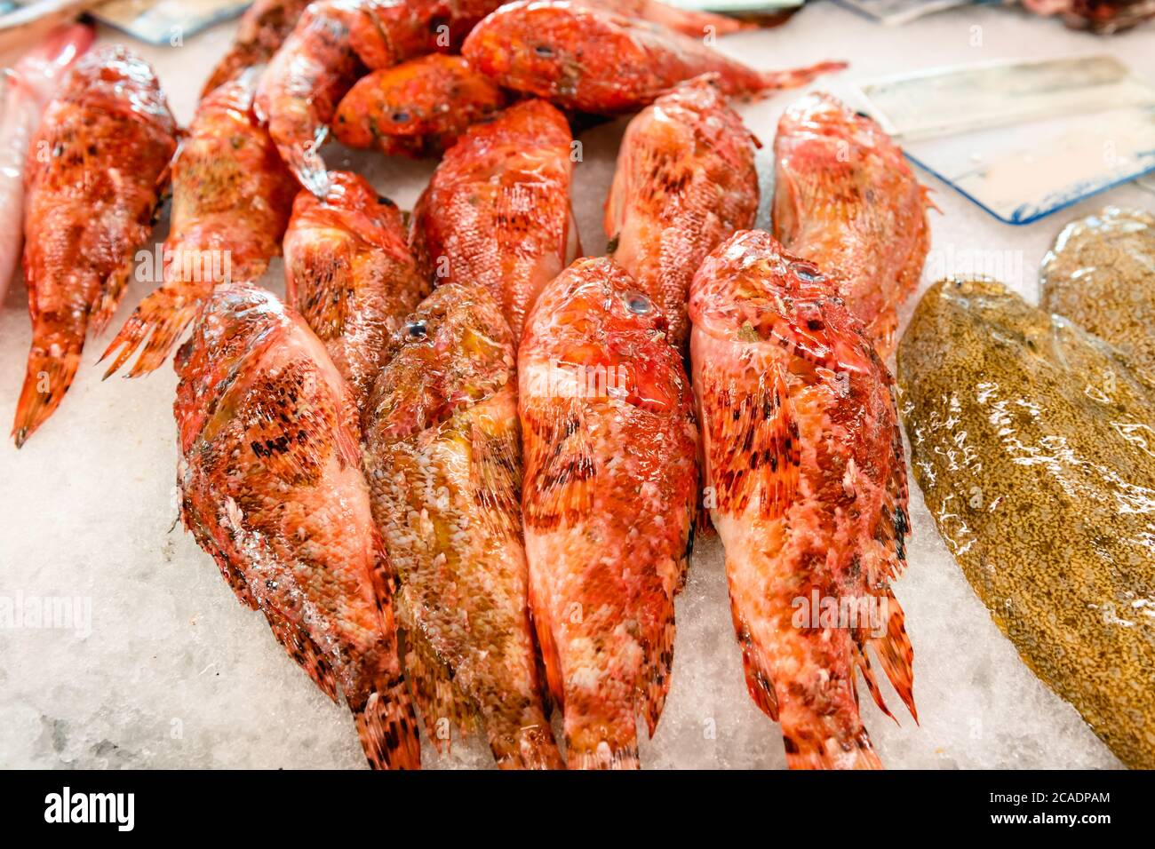 Ciutadella fish market menorca hi-res stock photography and images - Alamy