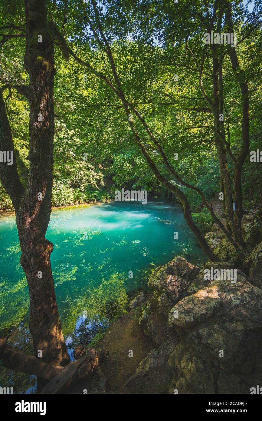 Krupajsko Vrelo (The Krupaj Springs) in Serbia, beautiful water spring ...