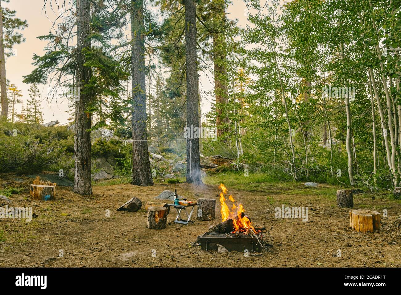 Camp fire burning near campsite in northern California forest Stock ...