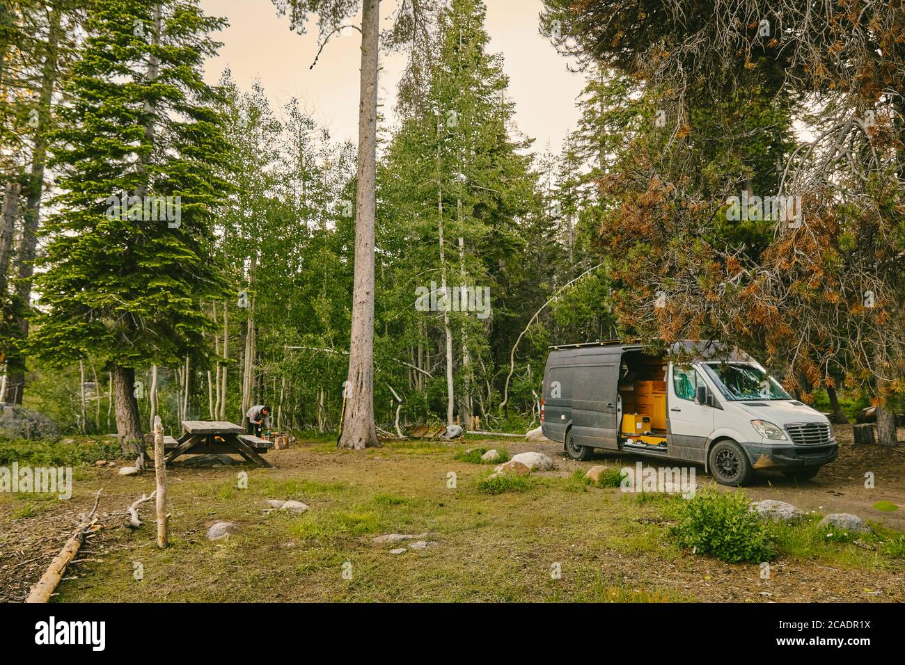Camper van parked on campsite in northern California forest Stock Photo ...