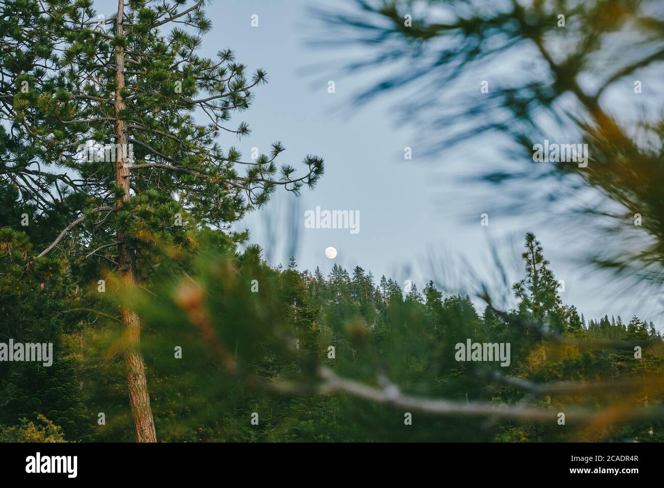 Bliss moon hi-res stock photography and images - Alamy