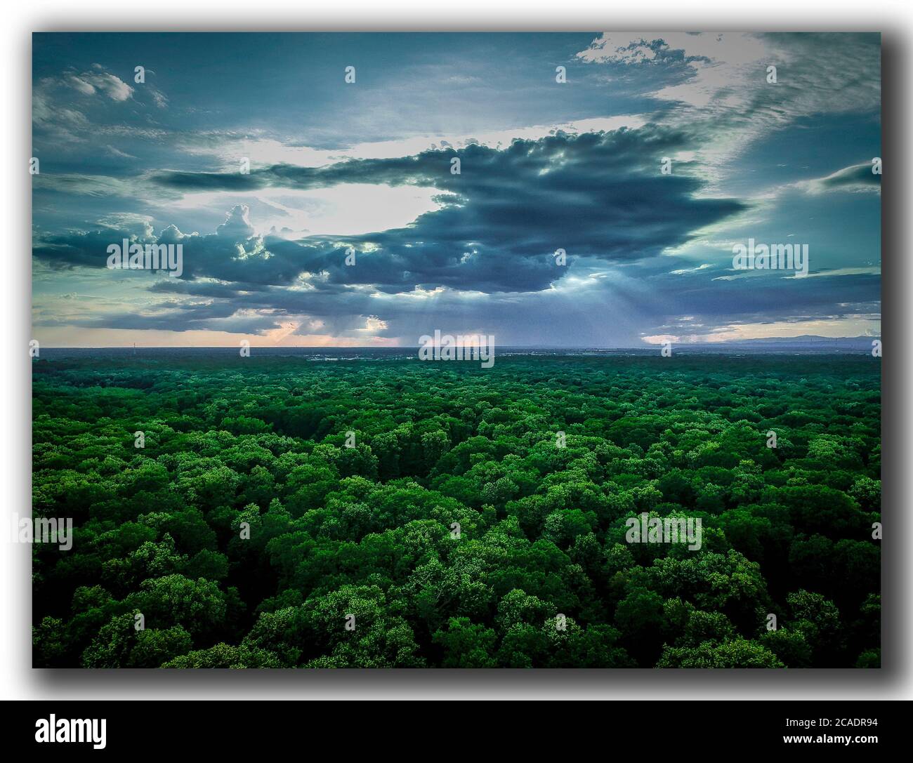 Dcim image hi-res stock photography and images - Alamy