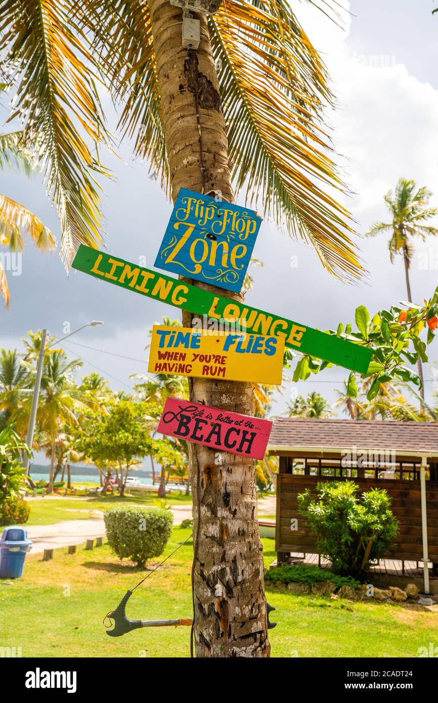 Vertical shot of fun beach signs on a coconut tree trunk Stock Photo ...