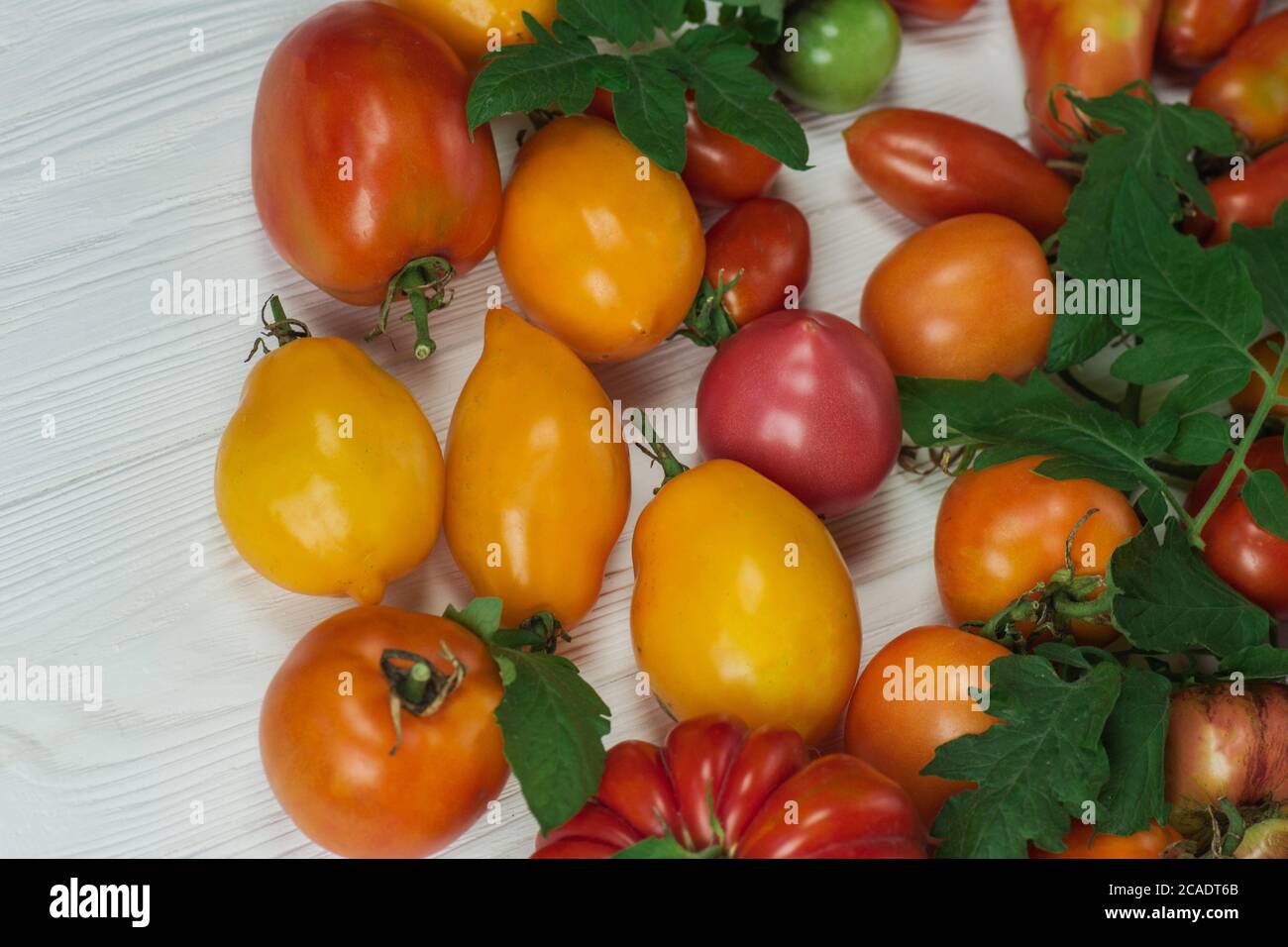 Different colorful tomatoes on wooden background. Organic tomatoes mix ...